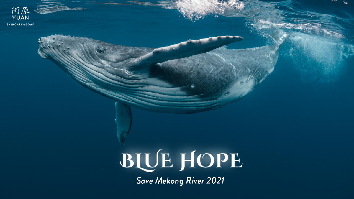 Blue Hope Launched to Reduce Single-Use Plastic Bottles in the Bathroo ...